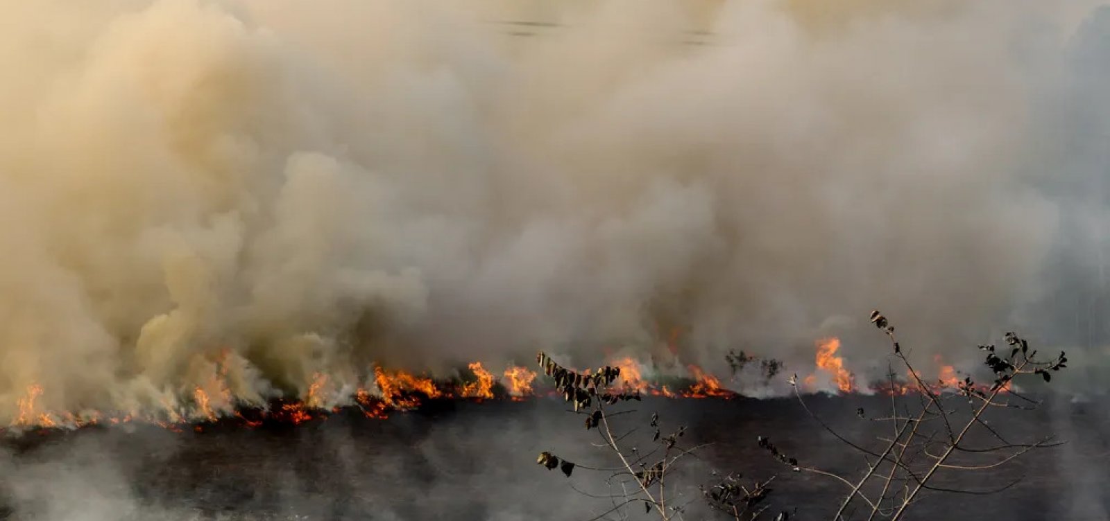 Em uma semana, queimadas na Amazônia superam todo o mês de setembro de ...