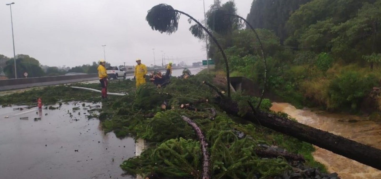 Ciclone Extratropical Governo Do Rio Grande Do Sul Decreta Estado De